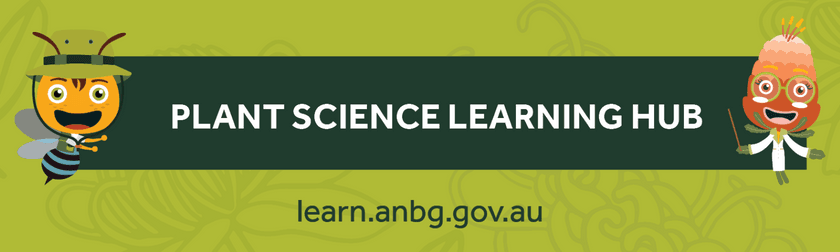 Schools | Australian National Botanic Gardens | Parks Australia