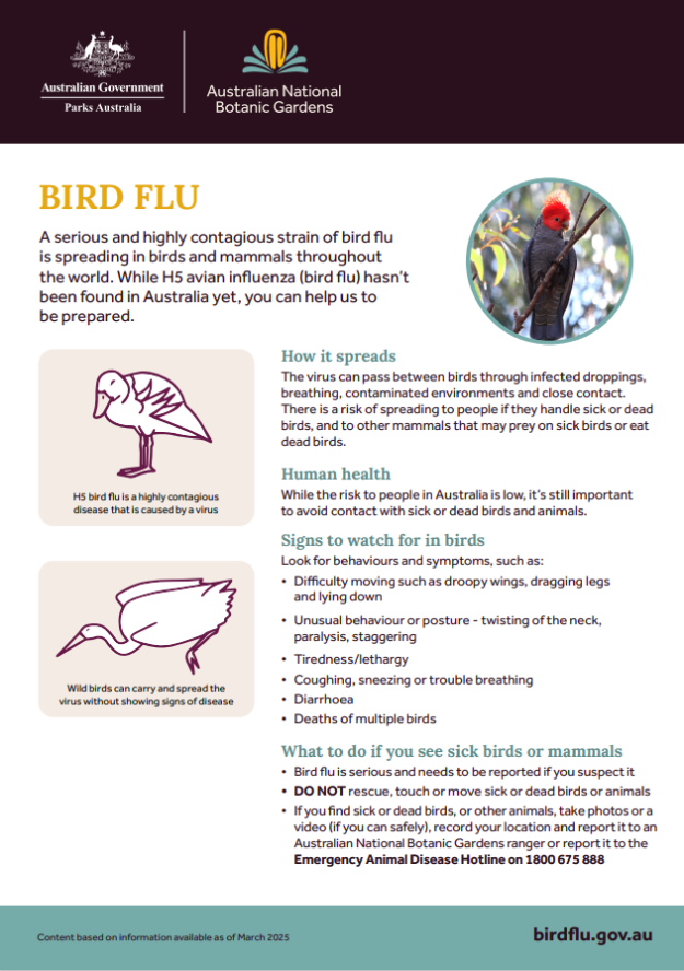 Bird flu | Australian National Botanic Gardens | Parks Australia