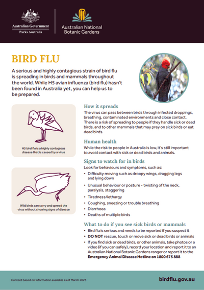 Bird flu | Australian National Botanic Gardens | Parks Australia